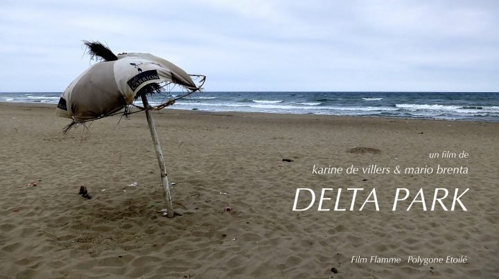 Recensione Delta Park | Schegge di Vetro